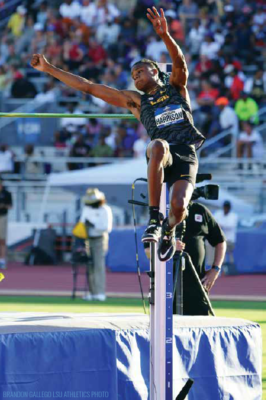 High Jump: A 3-D Technical Model and Practical Application – Coaches ...