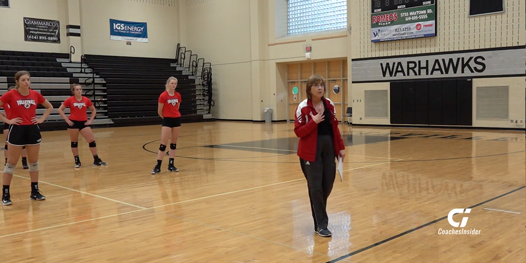 Setter Training Techniques and Drills (Part 2) with Carolyn Condit ...