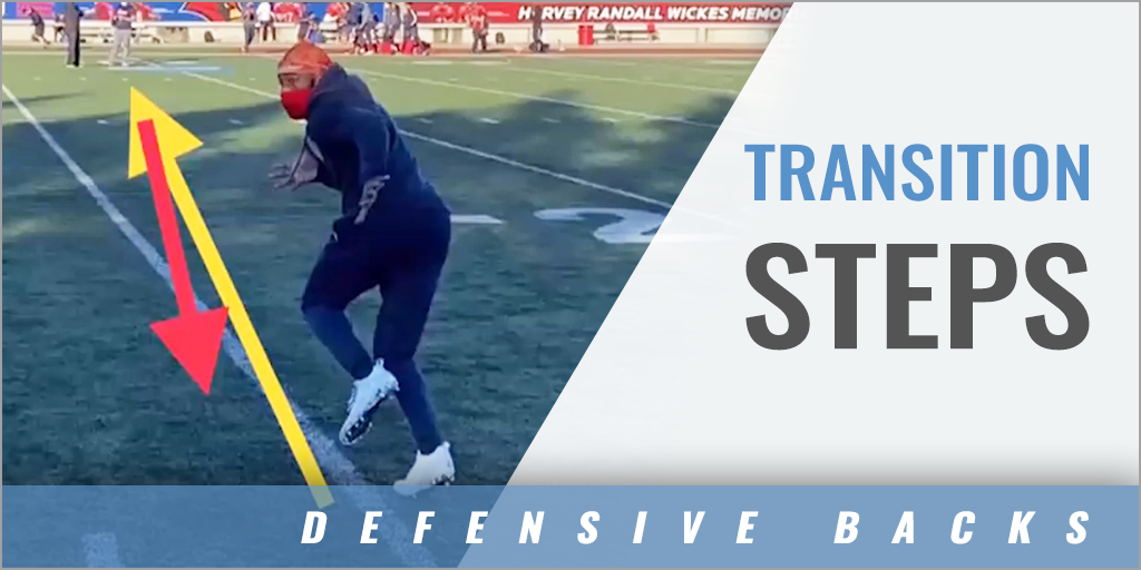 DB Transition Steps with Dan McKeown – Saginaw Valley State Univ ...